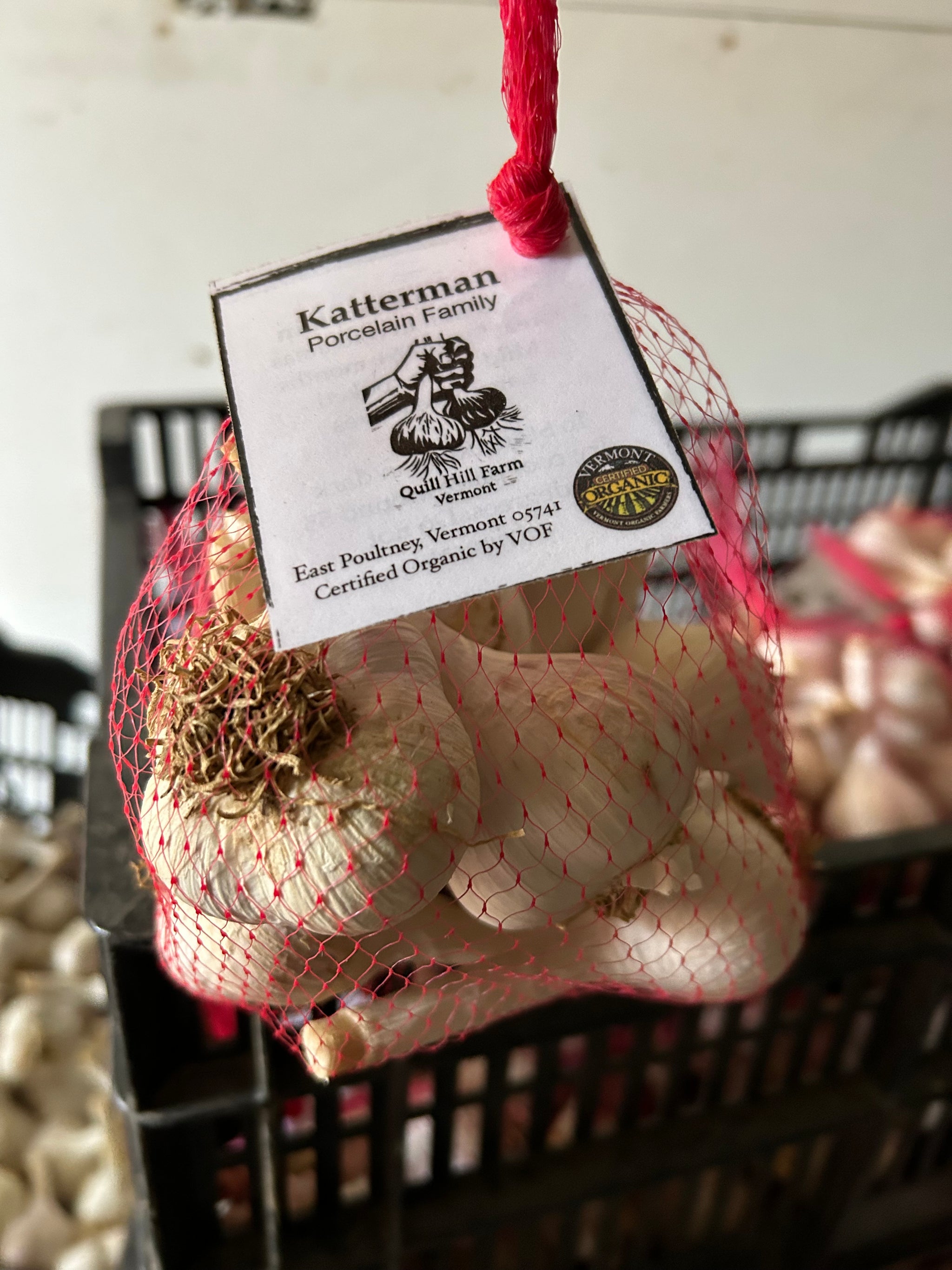 Katterman Porcelain Garlic- Certified Organic – Quill Hill Farm