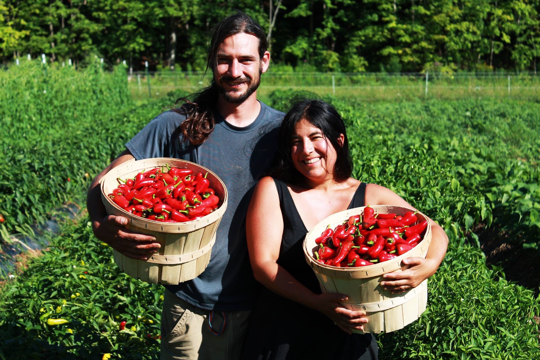 Vermont Grown Garlic and Farm-to-bottle Garlic powders – Quill Hill Farm